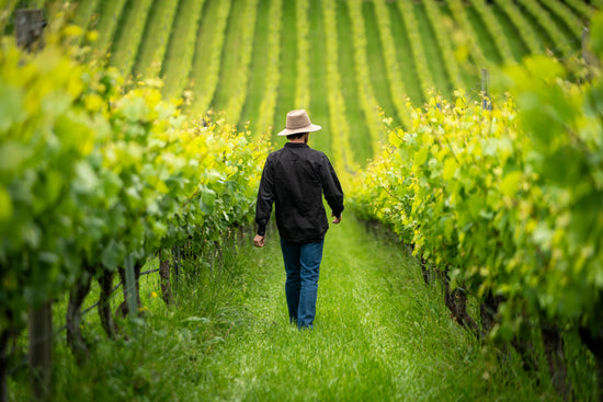 Ada Wine Co - Adelaide Wine Maker
